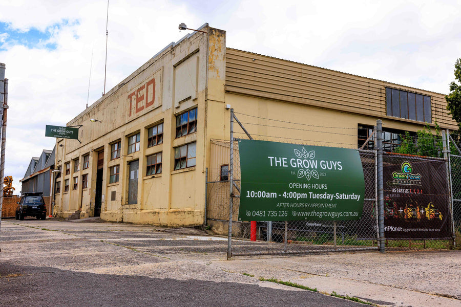 The Grow Guys | Hydroponics & Grow Gear Australia Wide